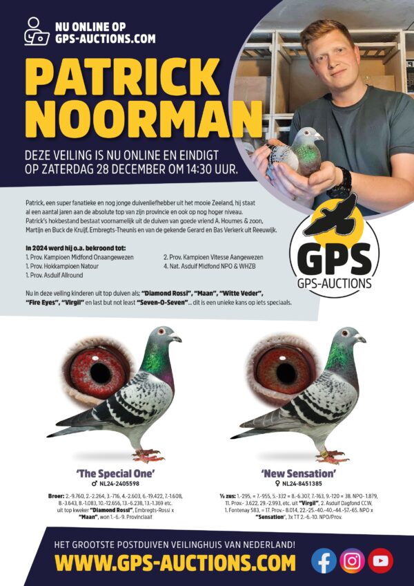 Patrick Noorman - GPS-Auctions