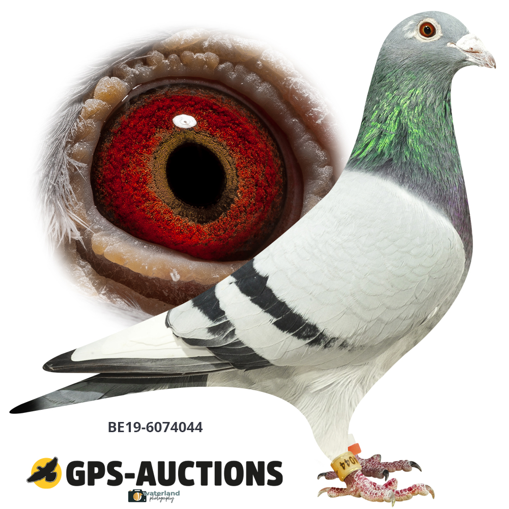 The Dirk van Dijck Collection - GPS-Auctions