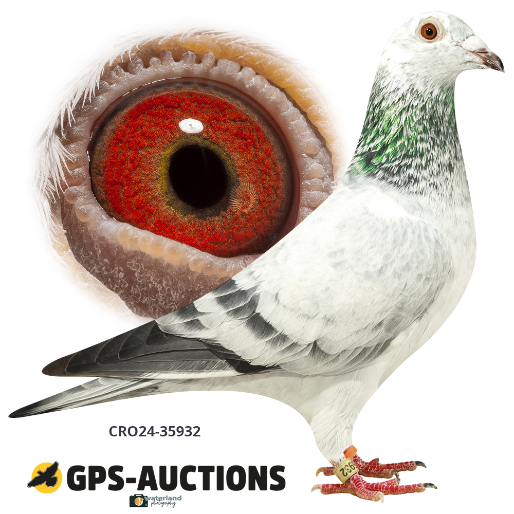 Goran Gusak Special - GPS-Auctions