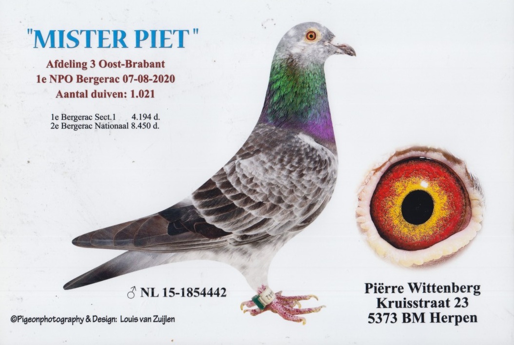 Piërre Wittenberg - GPS-Auctions