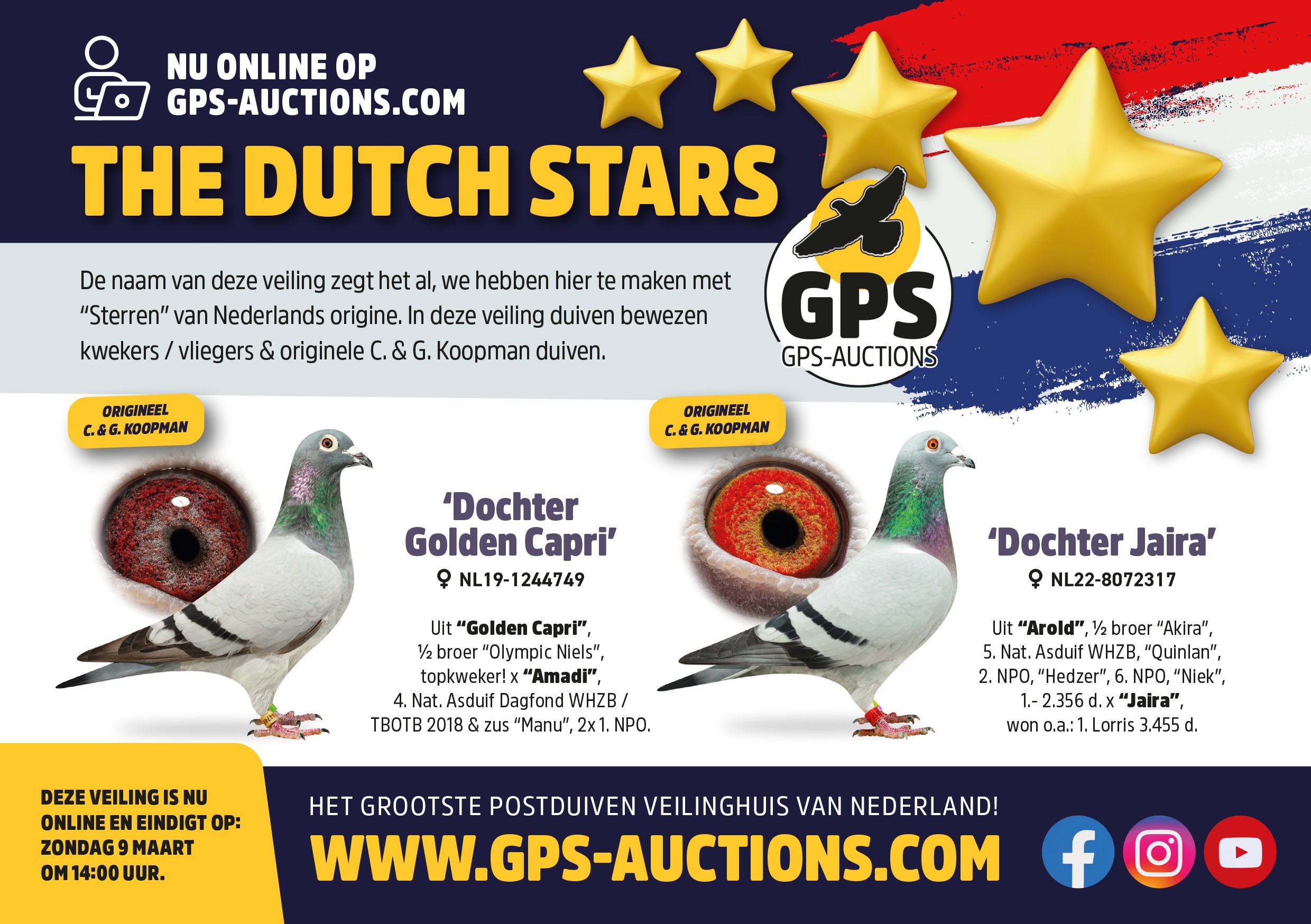 The Dutch Stars - GPS-Auctions