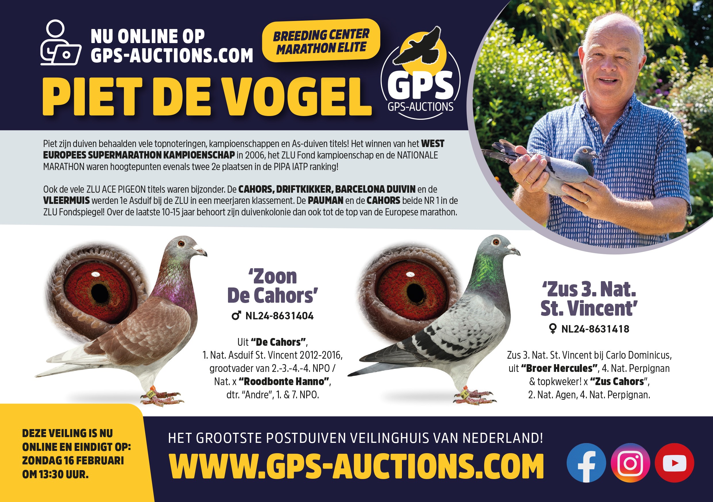 Piet de Vogel - Centre d'élevage Marathon Elite - GPS-Auctions