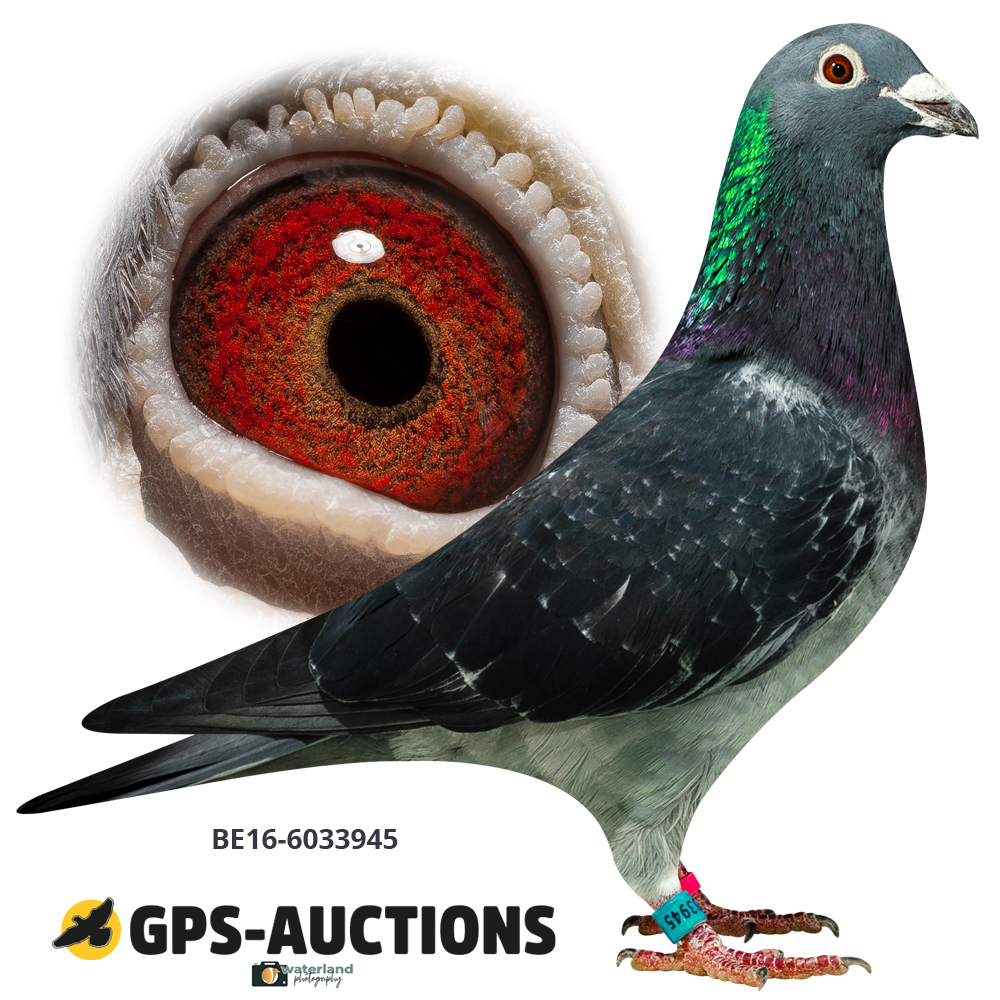 Das B. & L. Geerinckx Special - GPS-Auctions