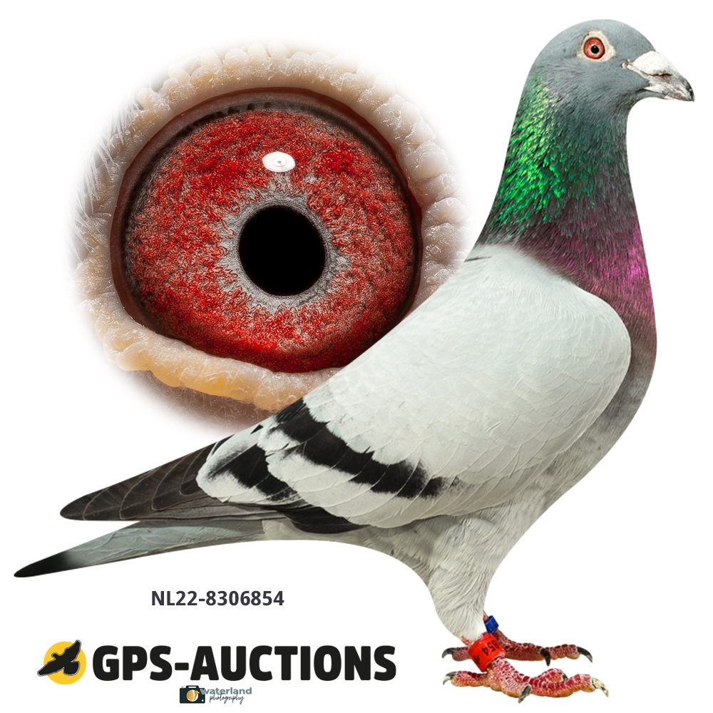 Pouw & Van Schaik - Part 3 - GPS-Auctions