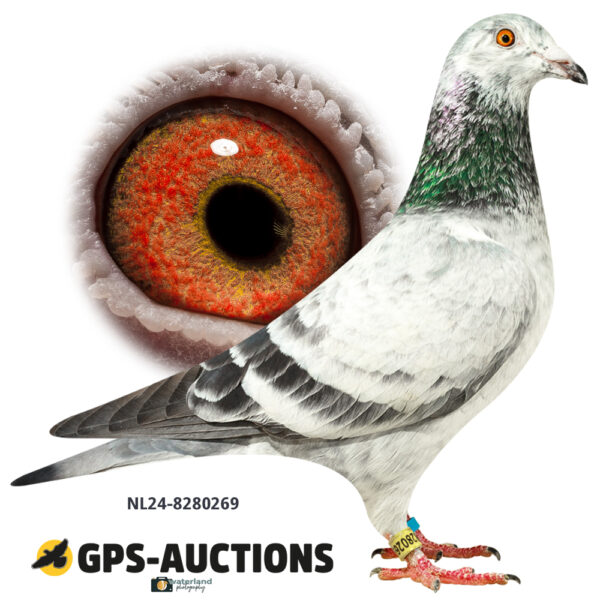 Pouw & Van Schaik - Part 3 - GPS-Auctions