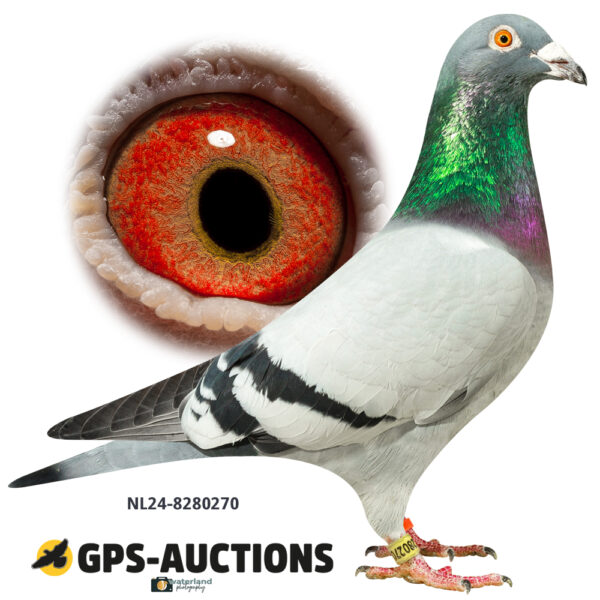 Pouw & Van Schaik - Part 3 - GPS-Auctions