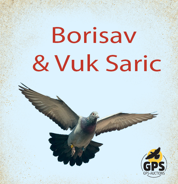 GPS-Auctions - 赛鸽运动拍卖行