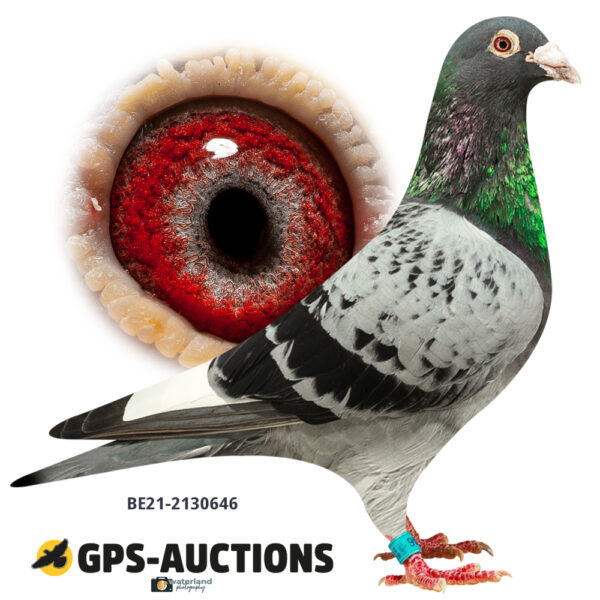 Herbots Special - GPS-Auctions