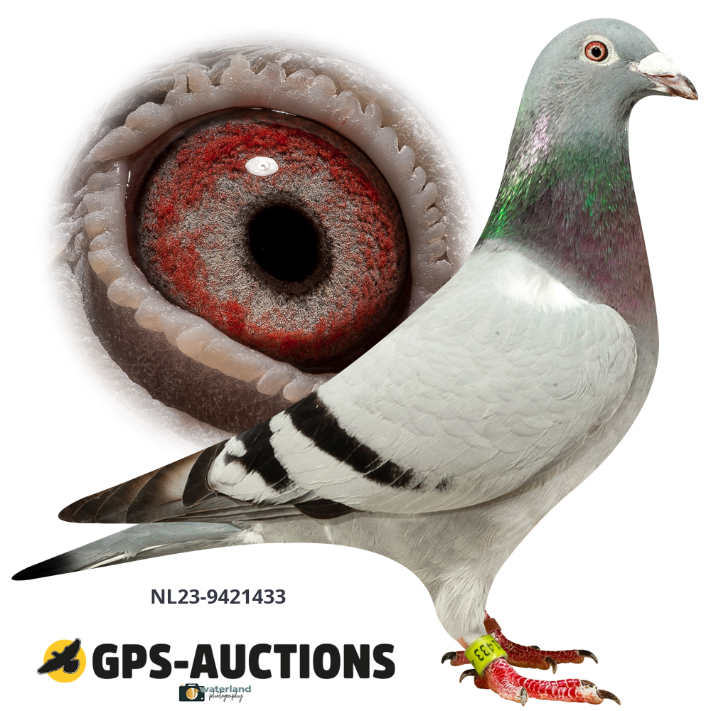 Team GPS Collection - GPS-Auctions