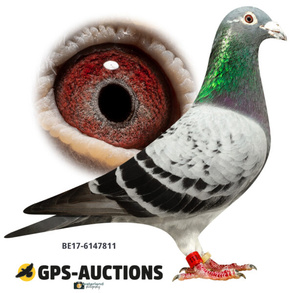 Dirk gegen Dyck Spezial – GPS-Auctions