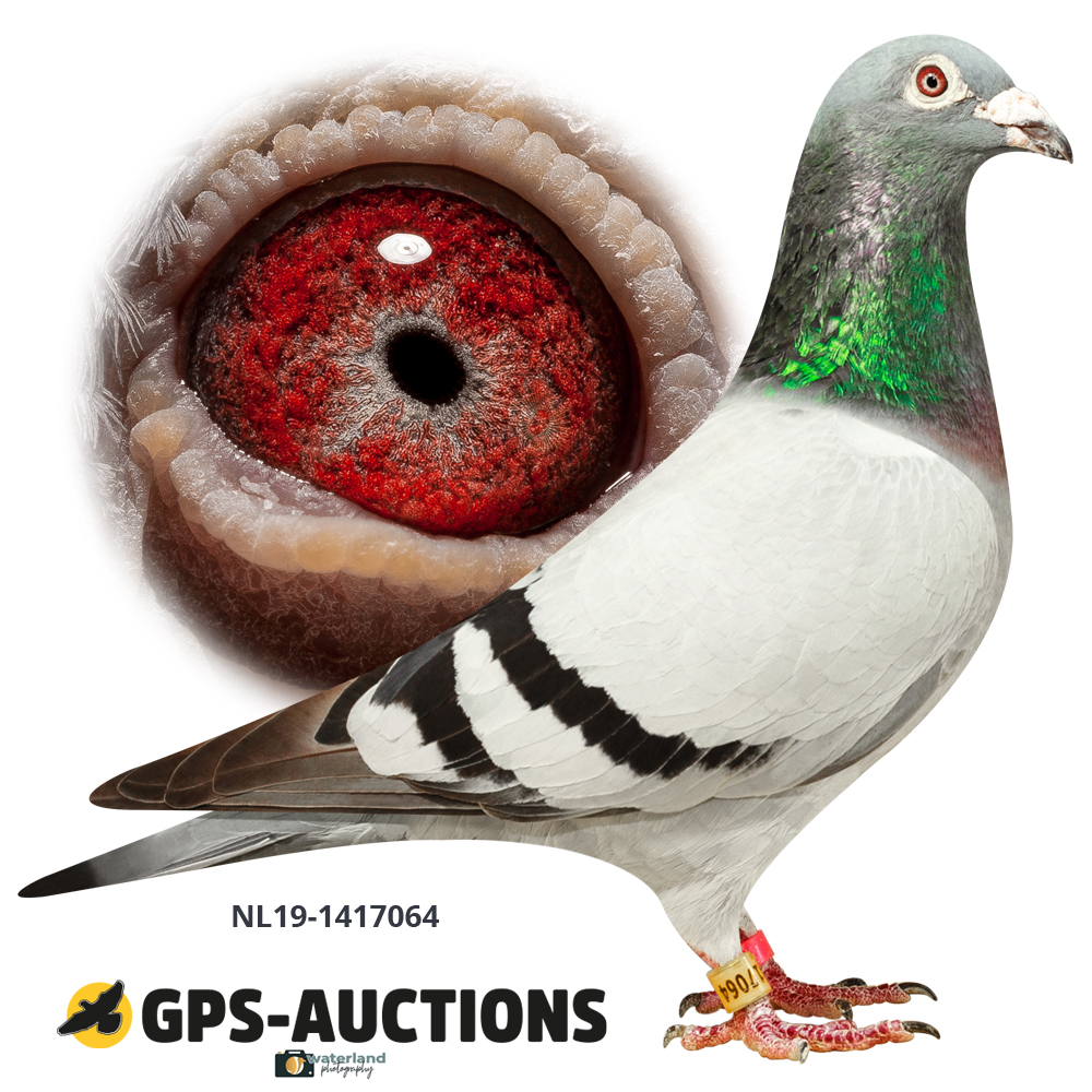 7 Special Originals - GPS-Auctions