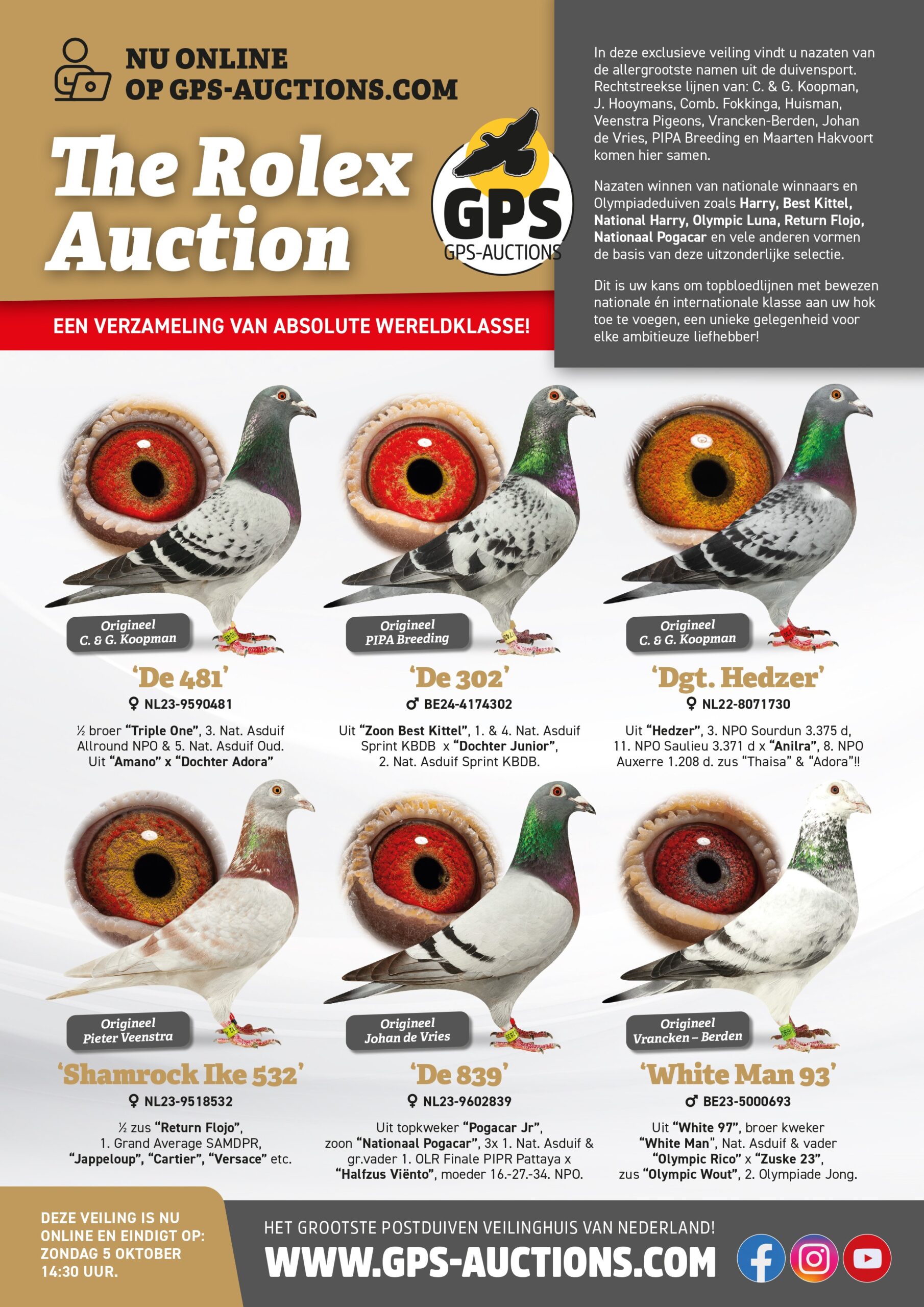 The Rolex Auction - GPS-Auctions