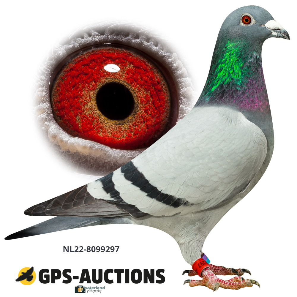 Johan de Vries Collection - GPS-Auctions