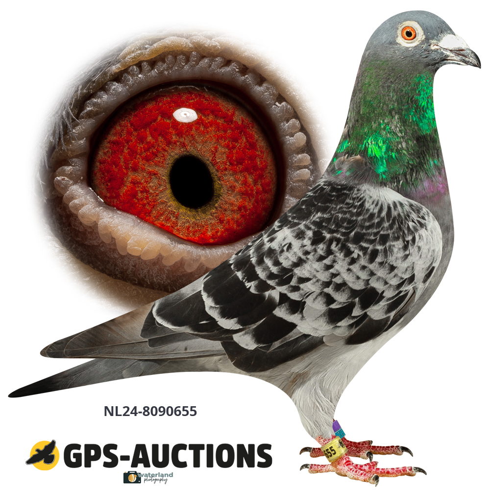 Collection Johan de Vries - GPS-Auctions