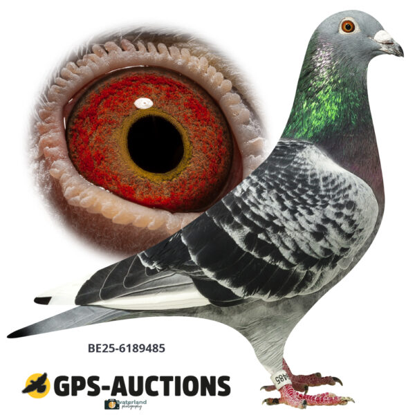 The Rudy van Reeth Collection - GPS-Auctions