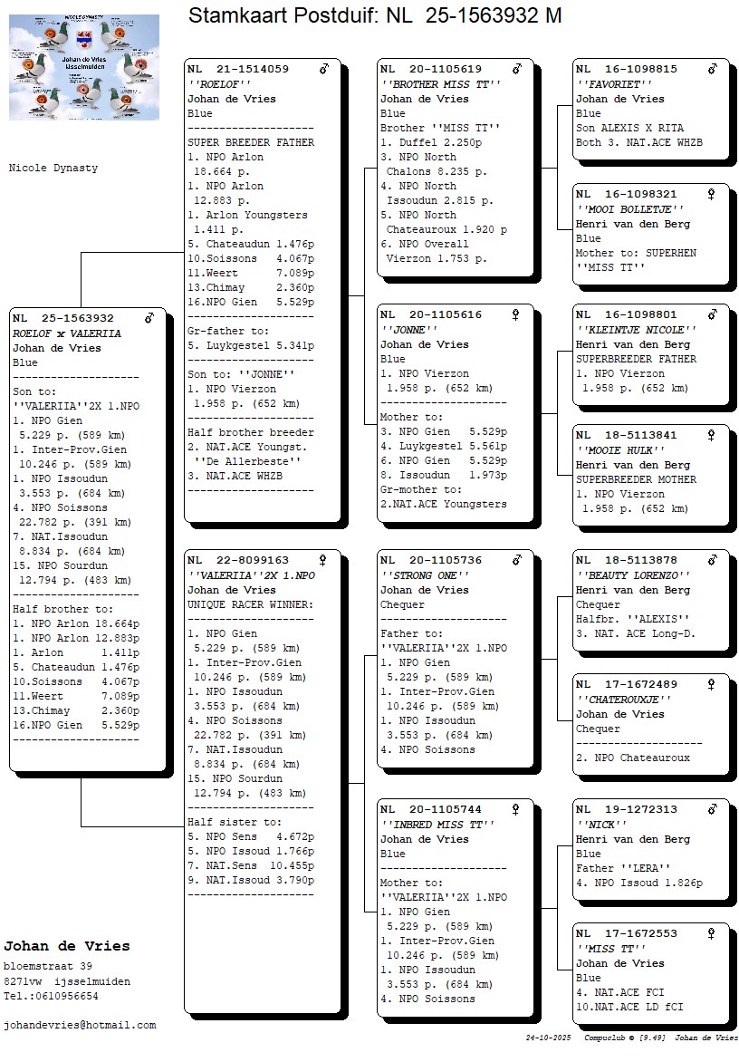 AANKONDIGING – PEARLS OF THE SKY 2025 - Johan de Vries - GPS-Auctions
