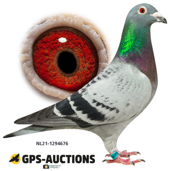 Total Auction Comb. Maas – Luijkx - Part 2 - GPS-Auctions