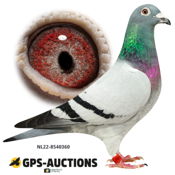 Total Auction Comb. Maas – Luijkx - Part 1 - GPS-Auctions
