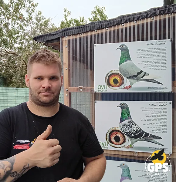 Hannes van Droogenbroeck - GPS-Auctions