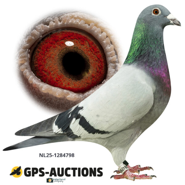 Final Sale: Gero Dijk - Part 2 - GPS-Auctions