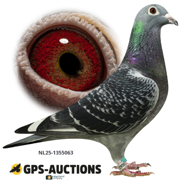 Comb. le joueur de flûte - GPS-Auctions