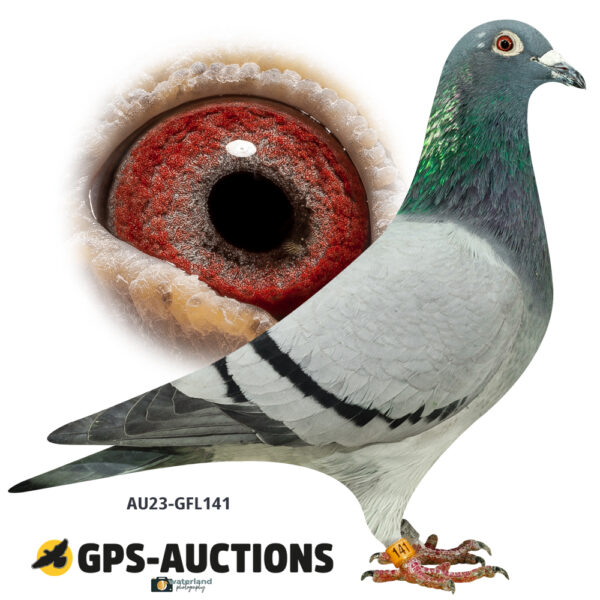 Especial de Mike Ganus - GPS-Auctions